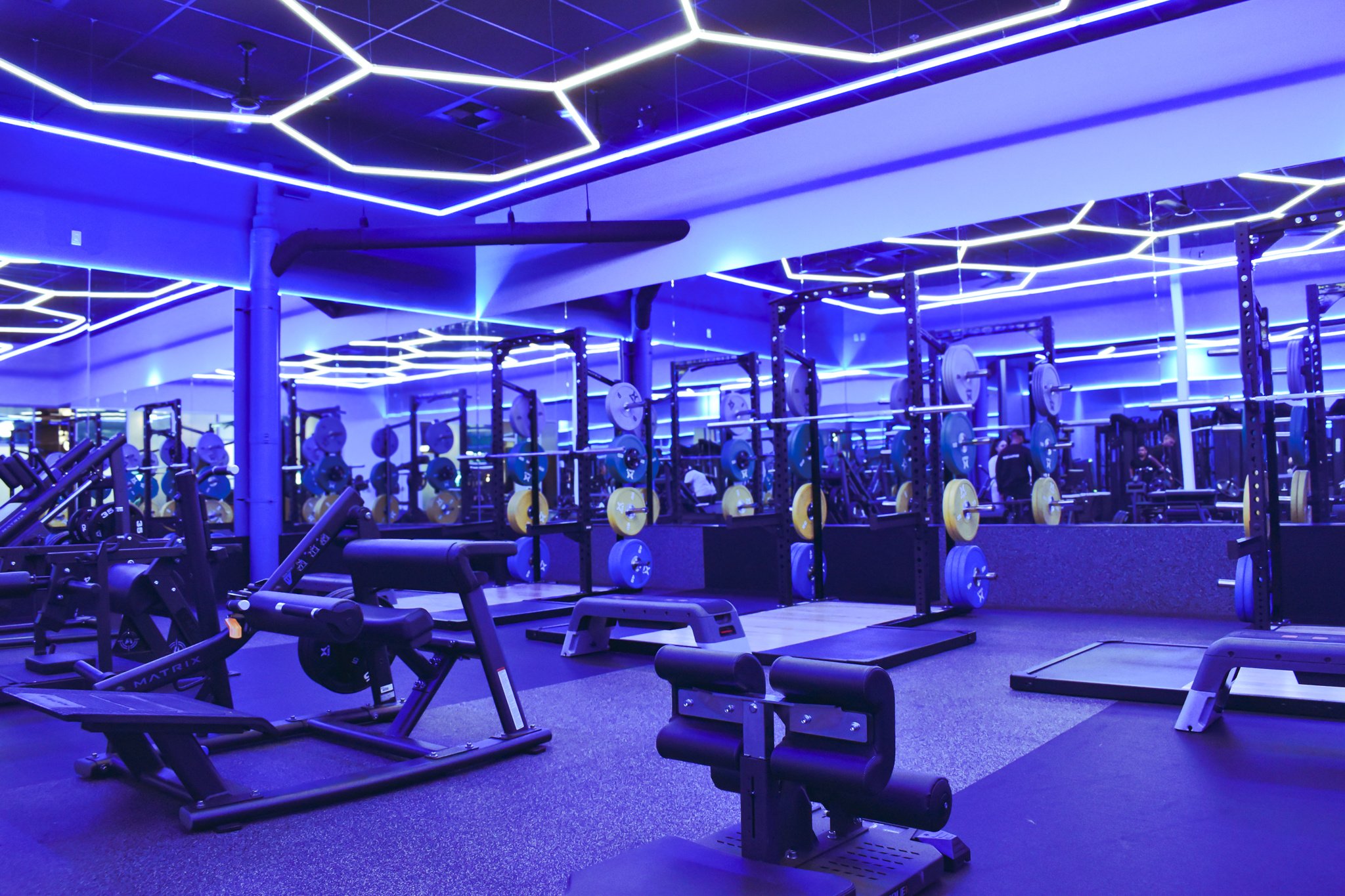 Elevate Your Workout Experience with The Vault at Fitness 19